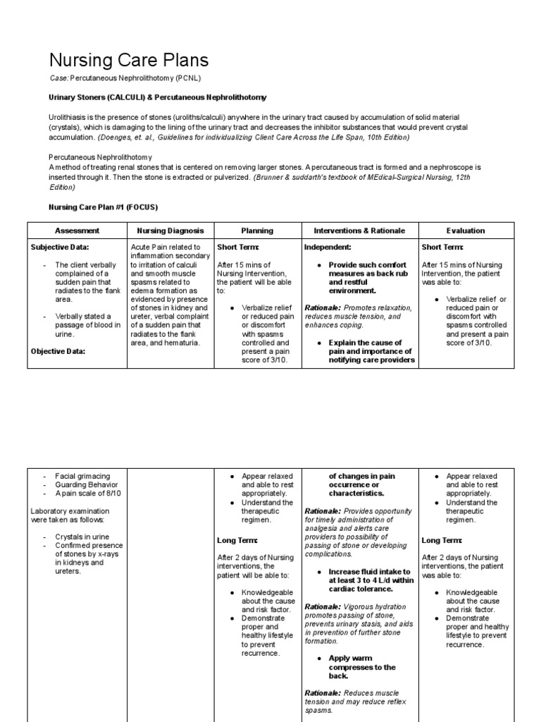PCNL Nursing Care Plan 3 | Download Free PDF | Urinary System | Urination