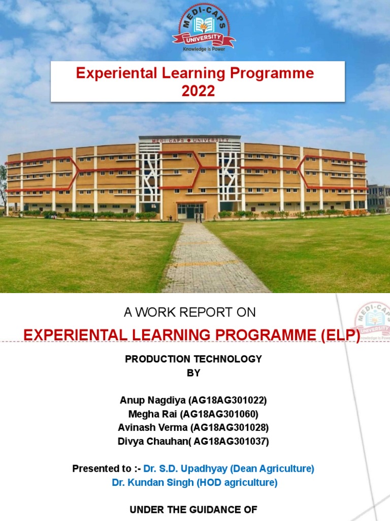 Elp Final PPT 14 | PDF | Agriculture | Coriander