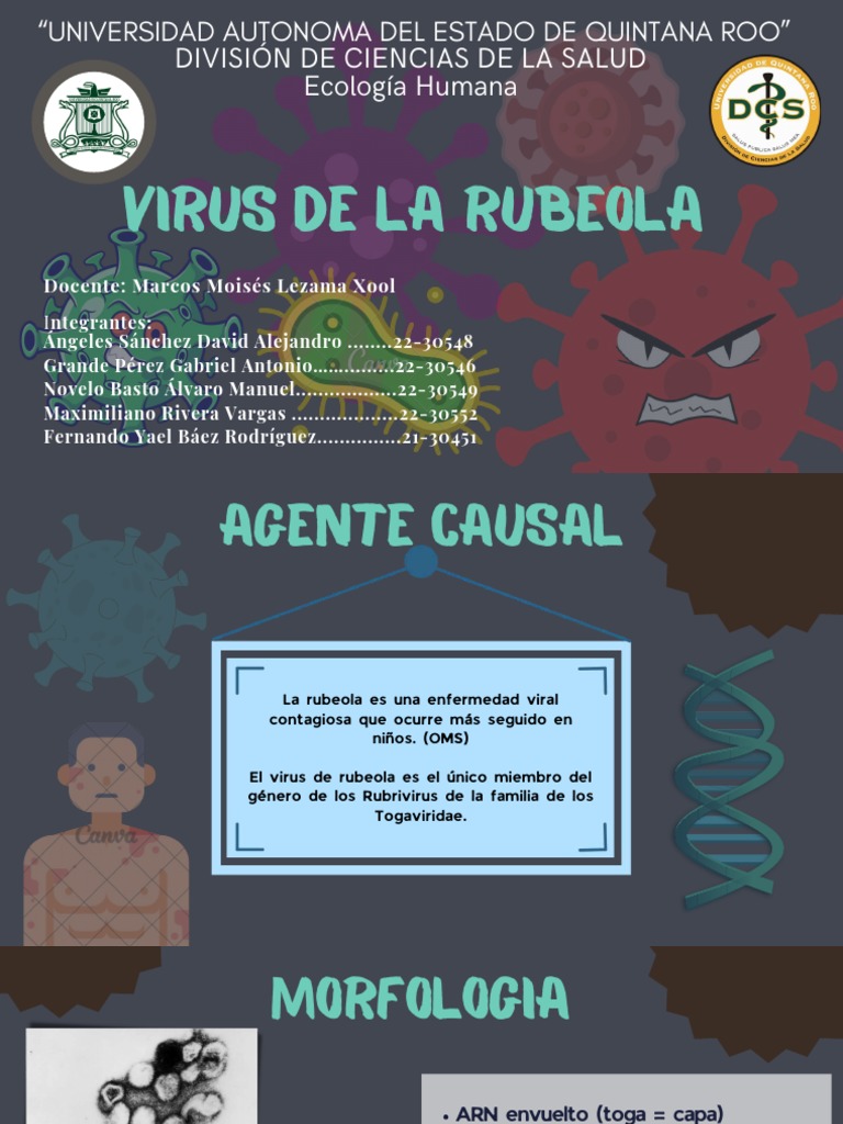 Presentaciones de Distintos Virus | PDF | VIH | Virus