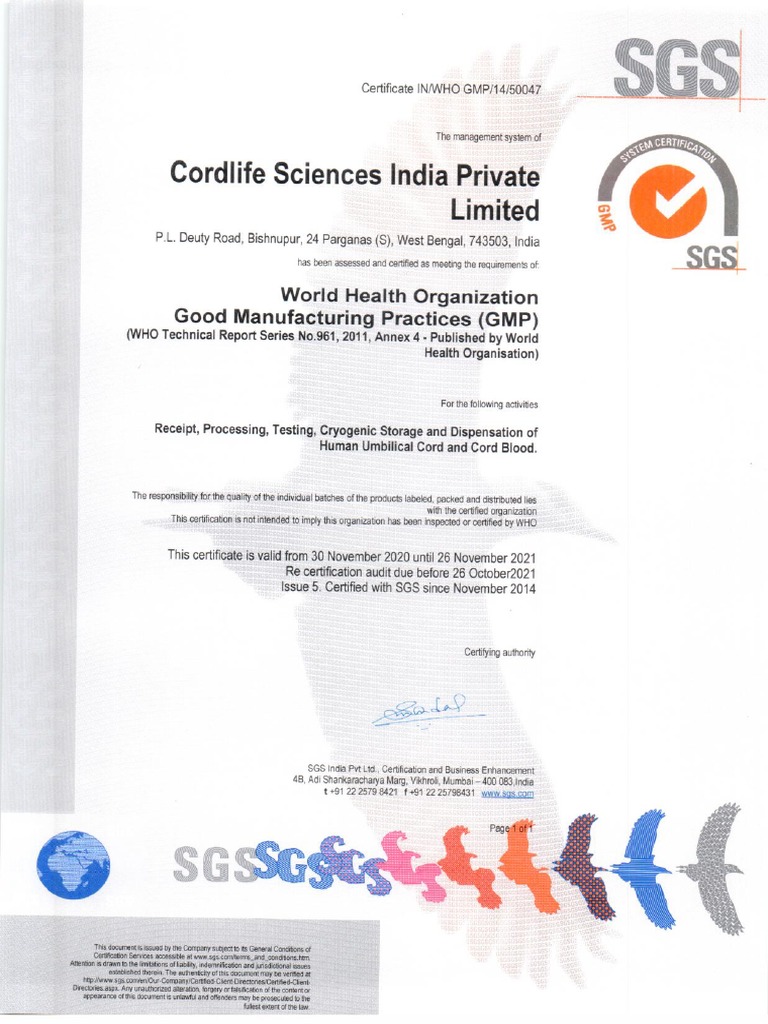 WHO GMP Certificate 2020 | PDF