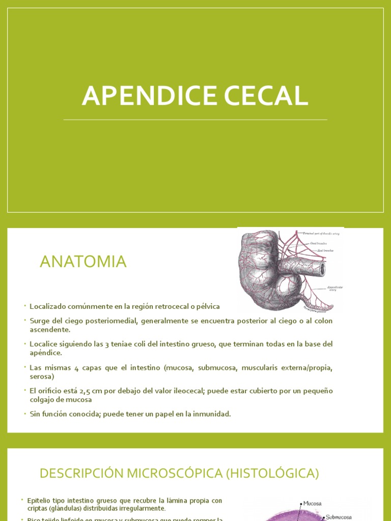 Apendice | PDF | Medicina | Causas de la muerte