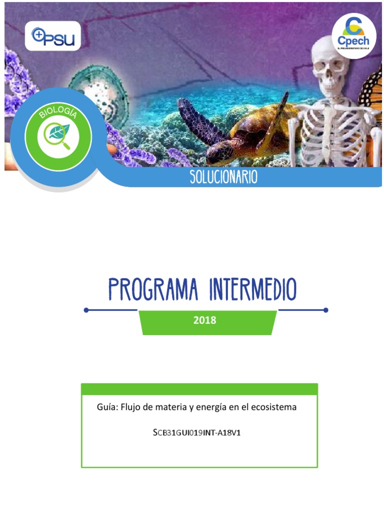 Solucionario Guía 22 Flujo de Materia y Energía en El Ecosistema | PDF ...