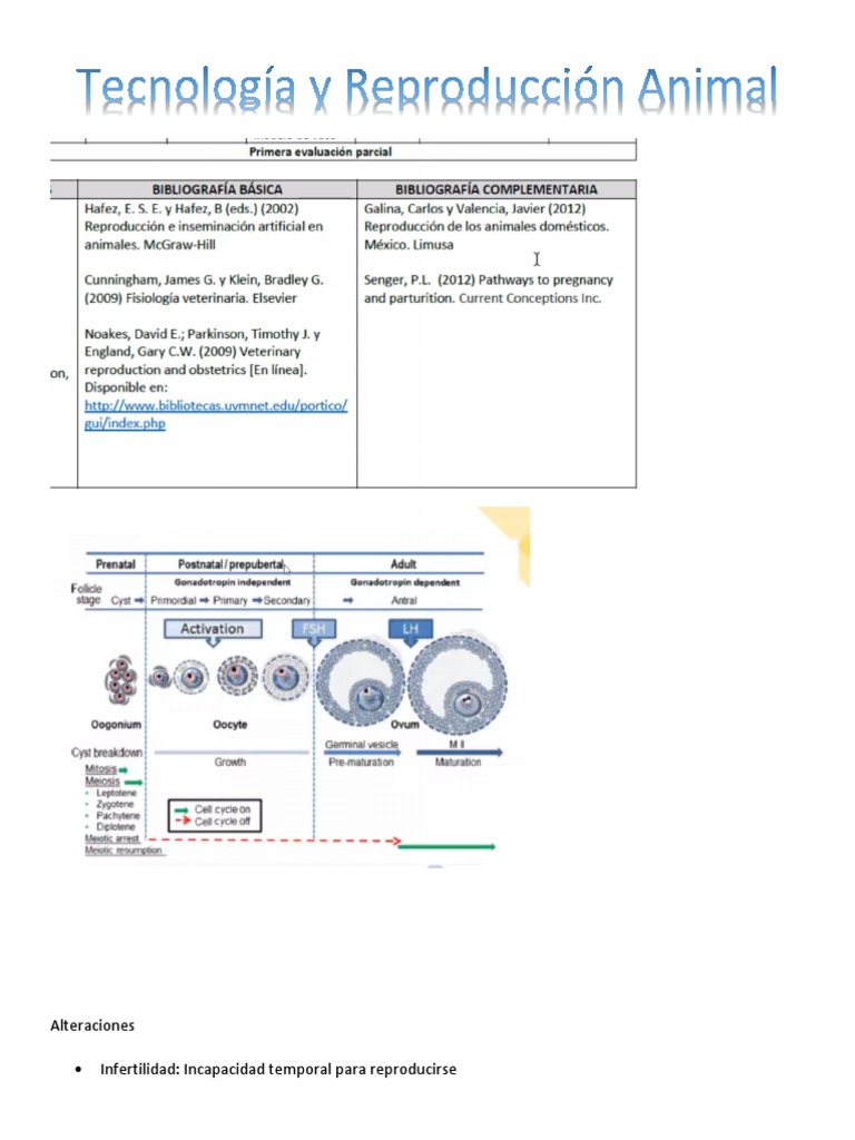 1er Parcial Cuaderno | PDF | Ovario | Parto