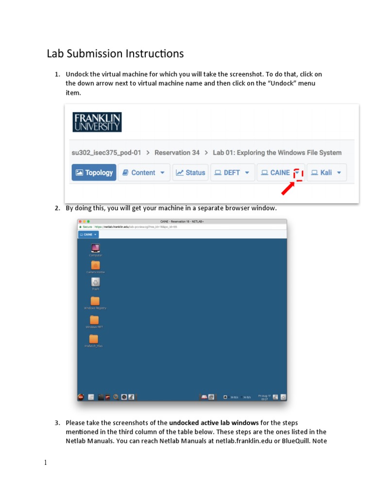 Netlab Submission Instructions | Download Free PDF | Screenshot ...