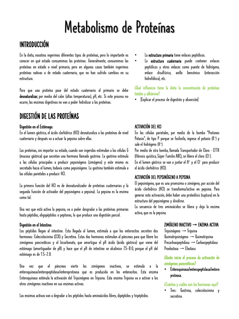 Metabolismo y Clasificación de Proteínas | PDF | Proteínas | Digestión
