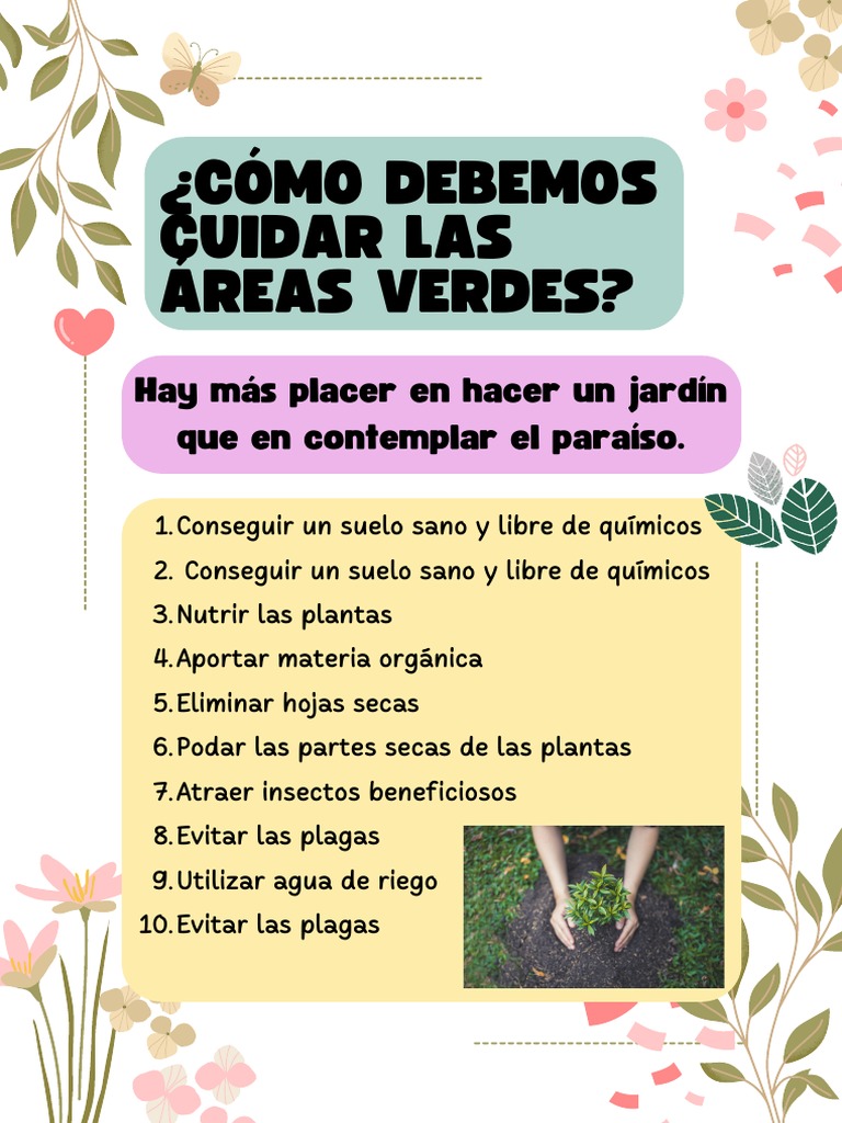 ¿Cómo Debemos Cuidar Las Áreas Verdes? | PDF