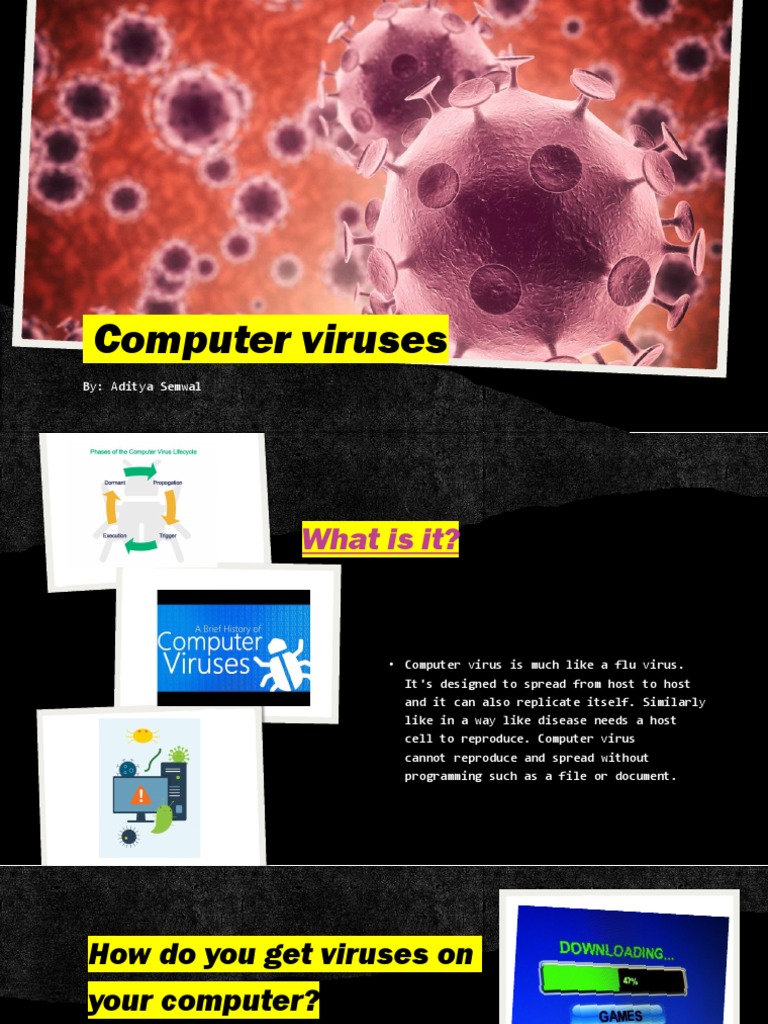 Computer Viruses Project | PDF
