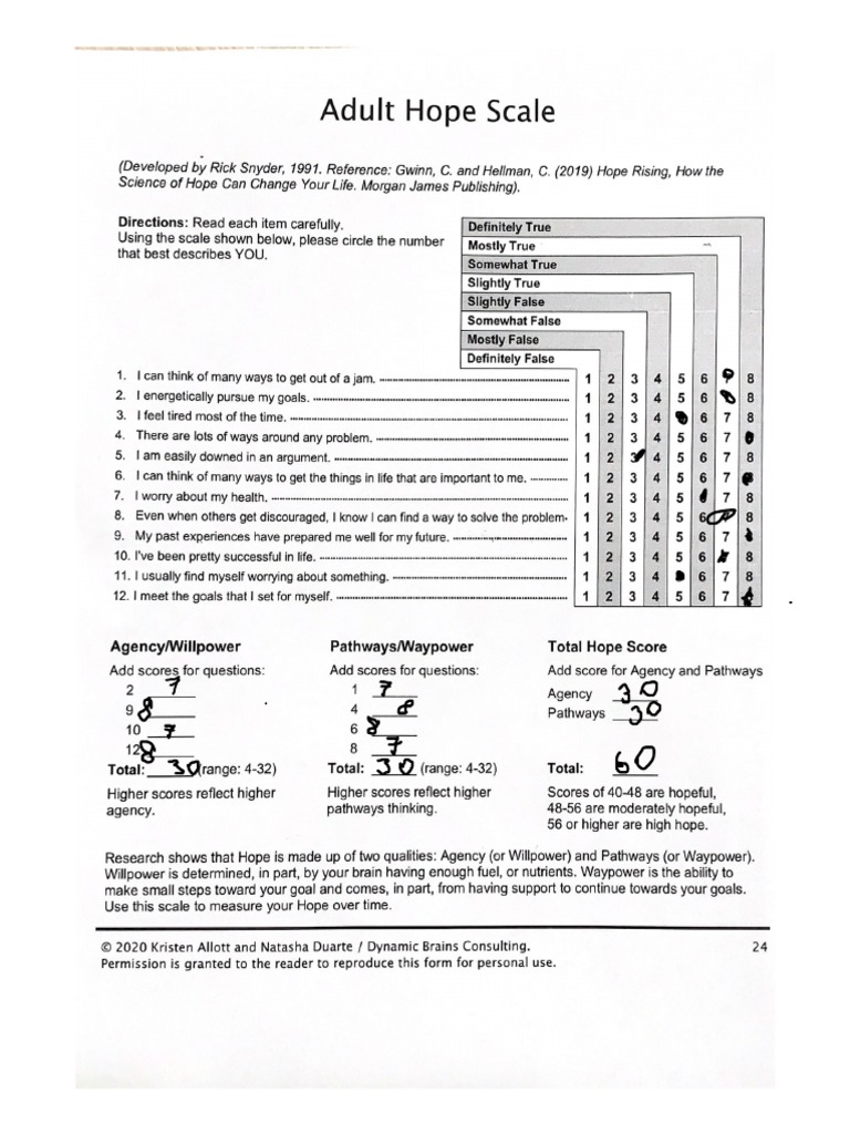 Adult Hope Scale | PDF