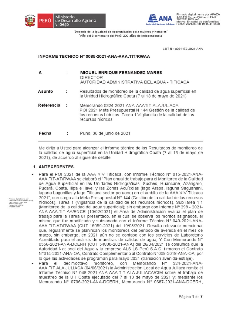 Informe Tecnico #0085-2021-Ana | PDF