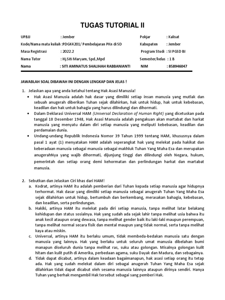 TT2 PDGK4201. PKN | PDF | Politik