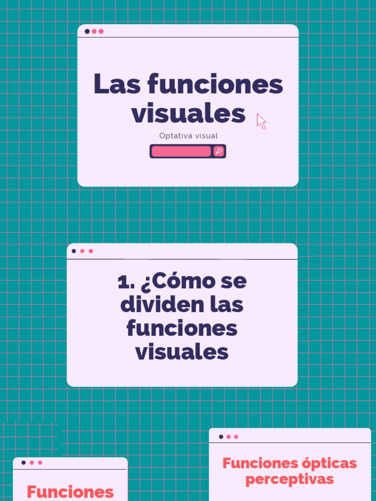 Las Funciones Visuales | PDF