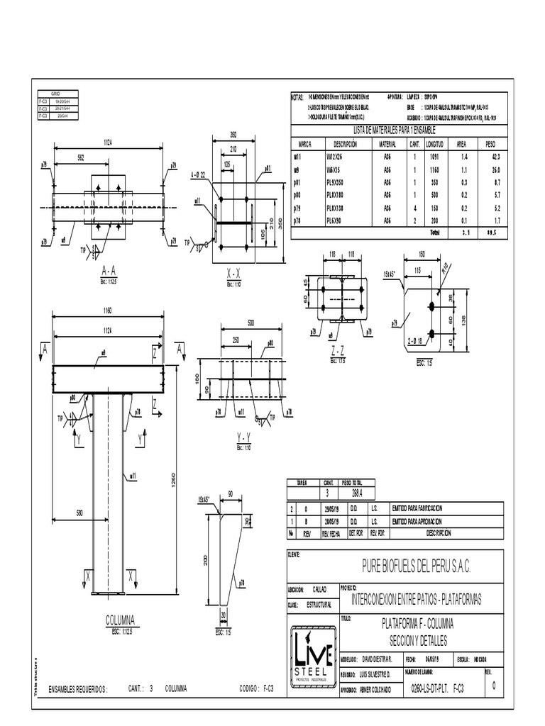 F-C3 - COLUMNA - Rev 0-Modelo | PDF