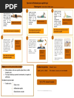 Dorsalgia Básico | PDF