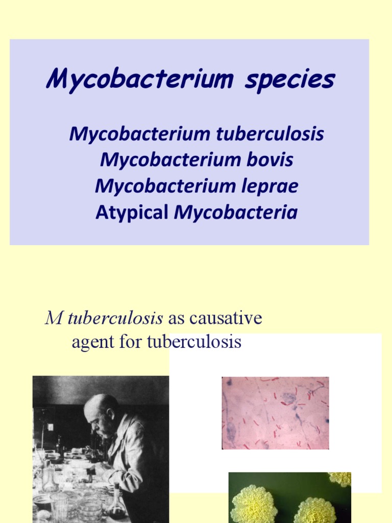 2.7. Mycobacteria (TB, Leprosy, NTM) | PDF