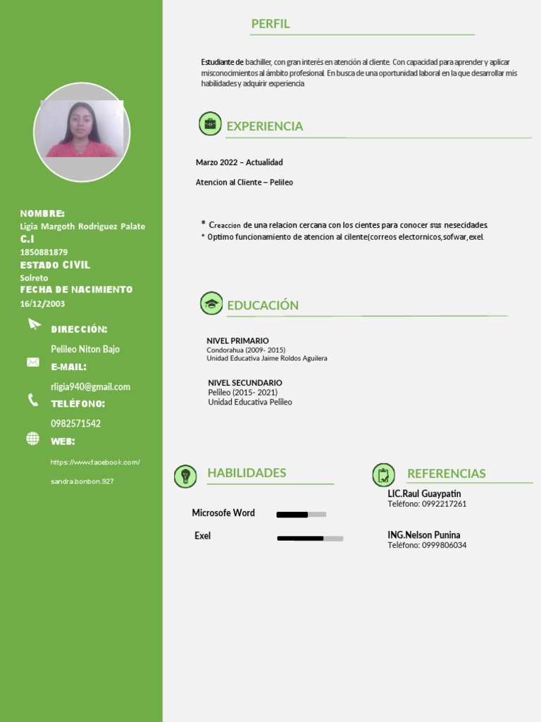 Plantilla Curriculum Vitae Modelo | PDF