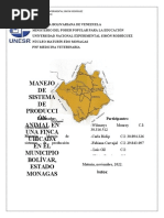 LITOSOLES | PDF | Suelo | Roca (geología)