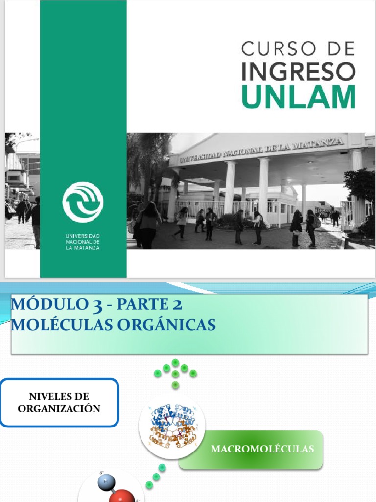 MODULO 3 Parte 2 Moleculas Organicas | PDF | Lípido | Polisacárido