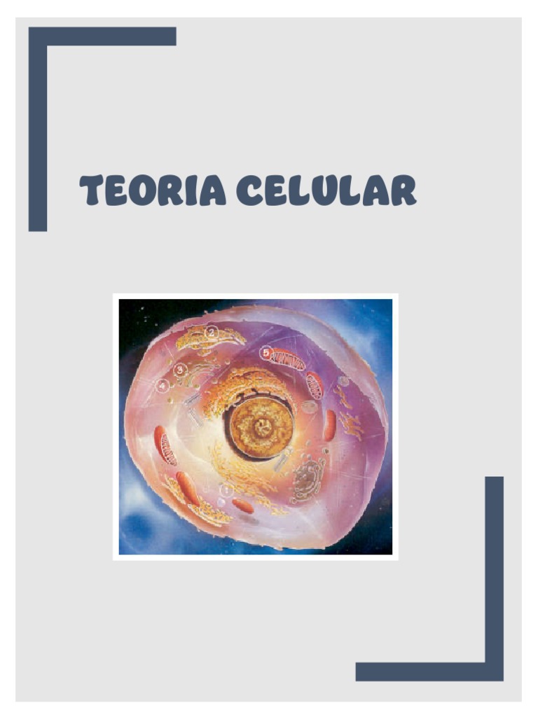 Aportaciones a la Teoría Celular | PDF | Biología Celular) | Organismos