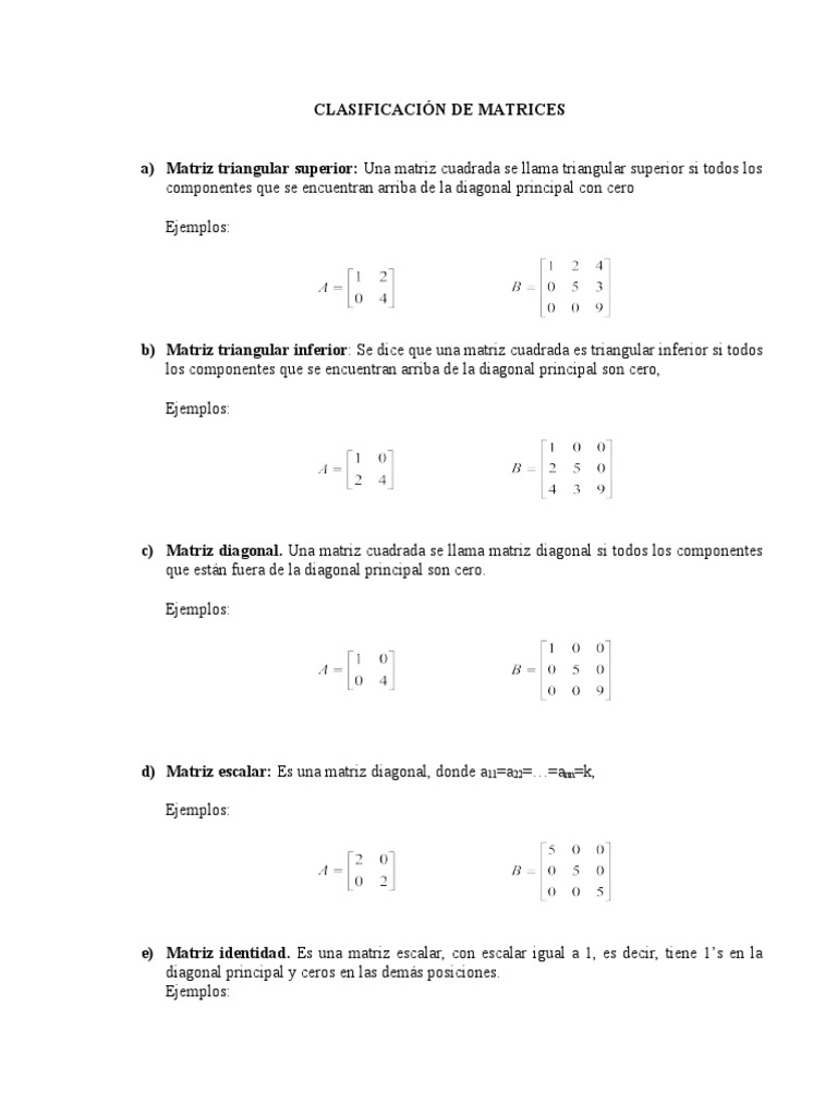 Tipos de Matrices | PDF