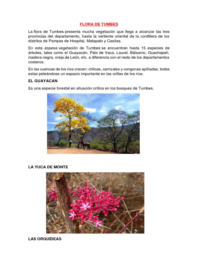 Flora y Fauna de Tumbes | PDF