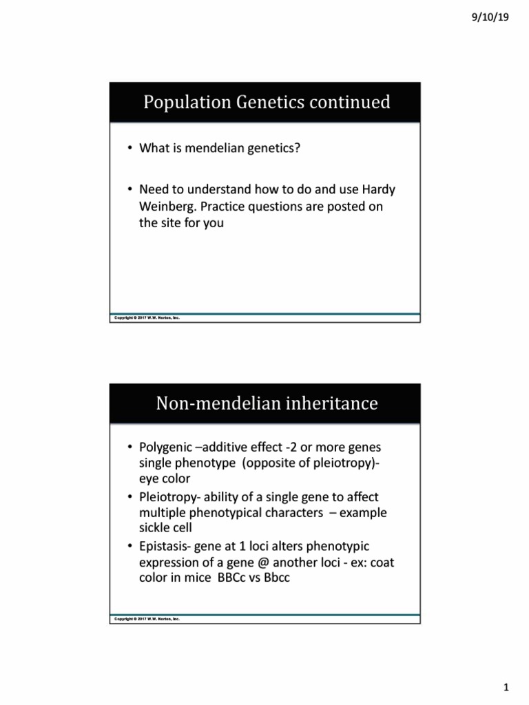 Population Genetics and The Modern Synthesis | PDF | Gene | Population ...