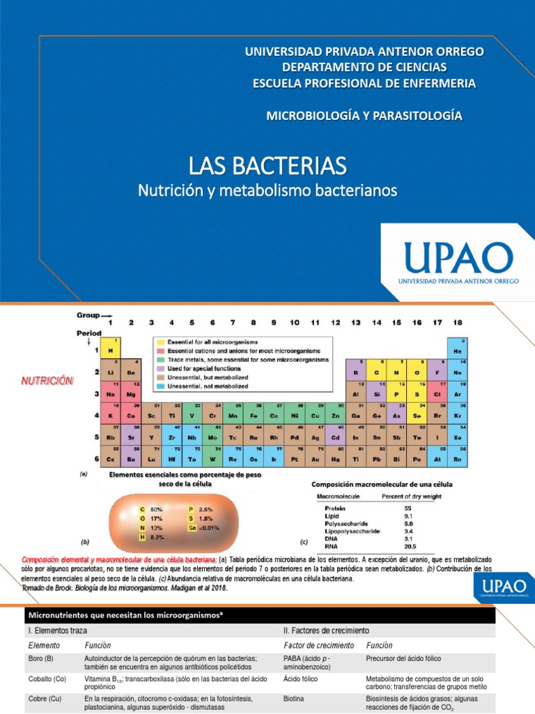 Microb - Retroalimentación | PDF | Sistema inmune | Respiración celular