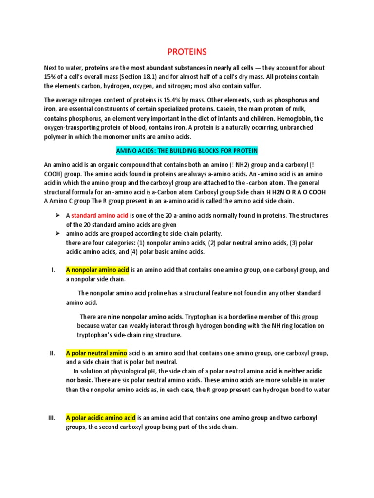 Proteins 1 | PDF | Amino Acid | Proteins