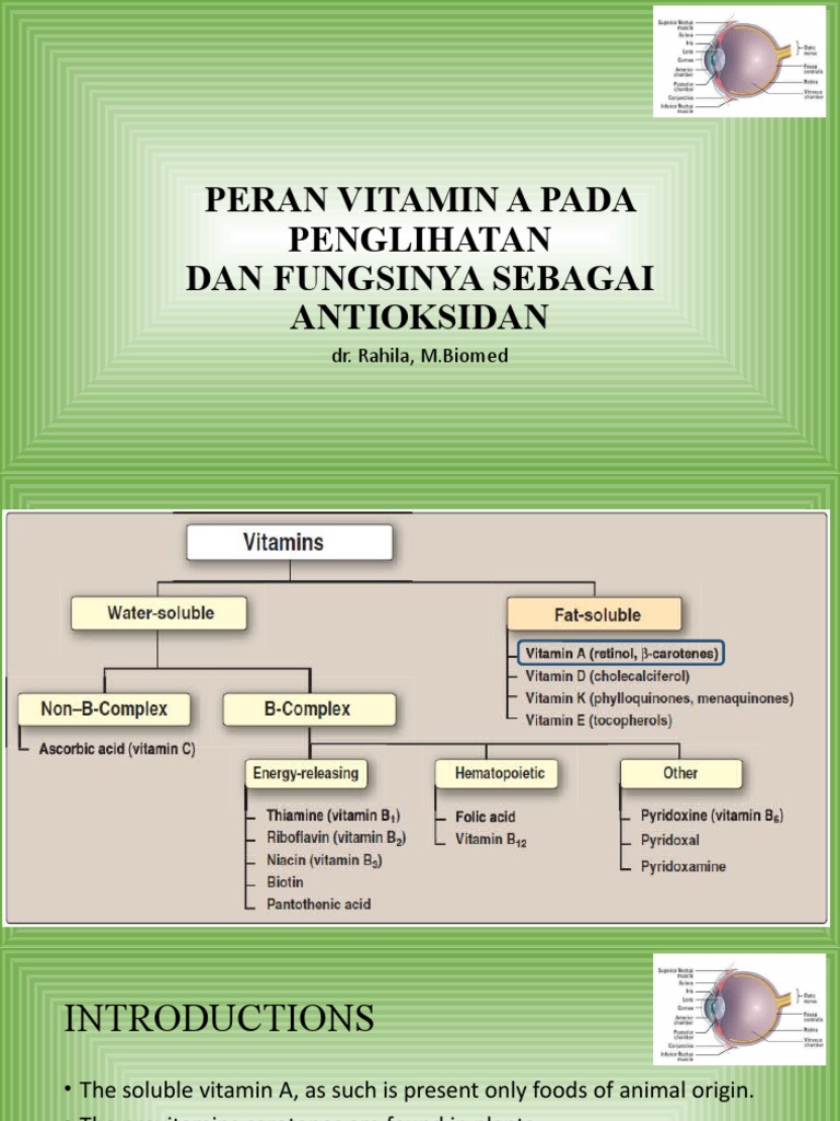New Vitamin A | PDF | Vitamin A | Retinal