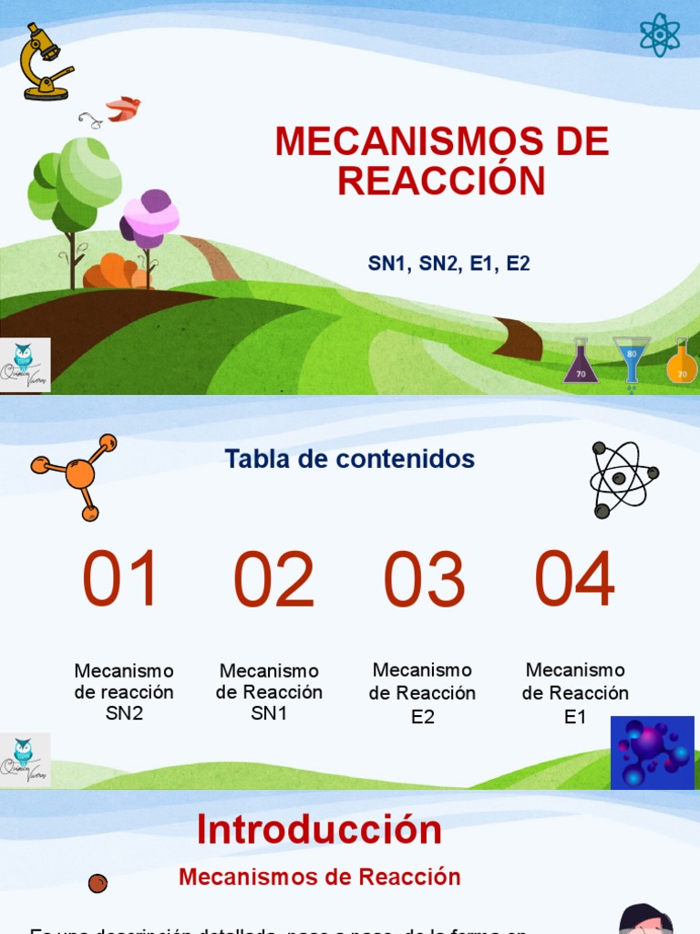 12 Mecanismos de Reacción | PDF | Química Orgánica | Química