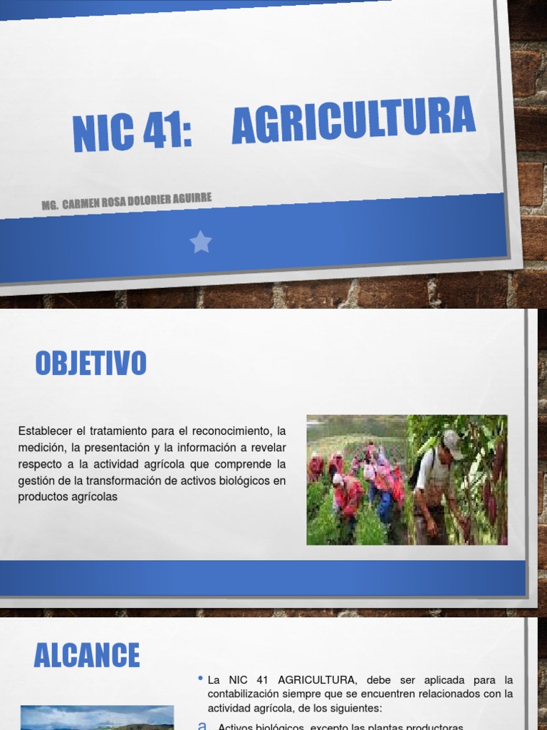 Nic 41 | PDF