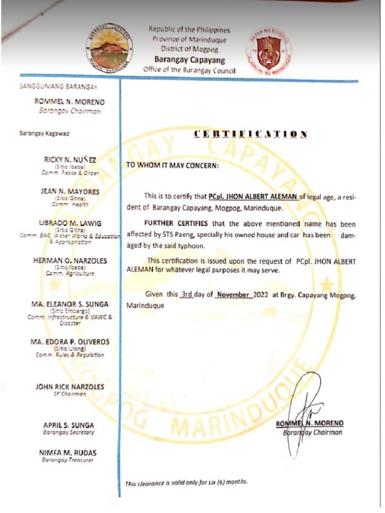 Aleman, John Albert Pmpmfp-Mppo | PDF