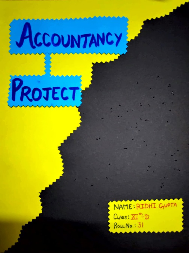 Class 12 Accountancy Project Cover | PDF