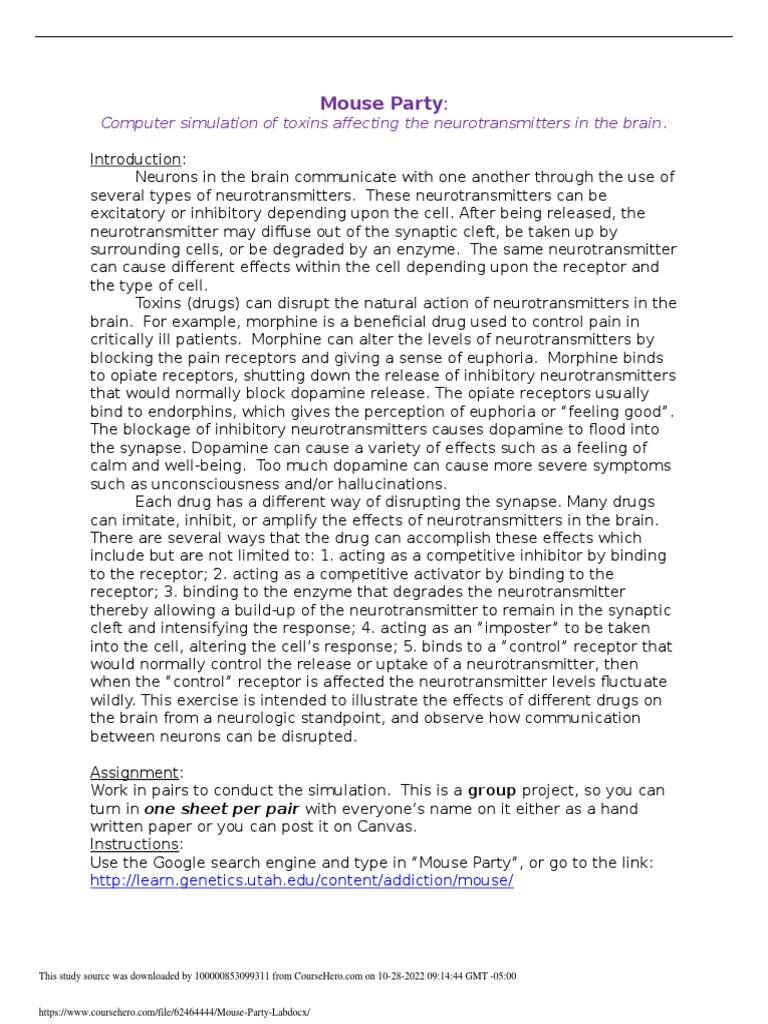 Mouse Party Lab | PDF | Neurotransmitter | Neuroscience