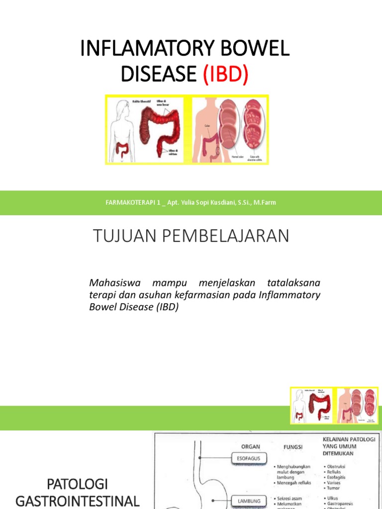 02 Ibd-2 | PDF