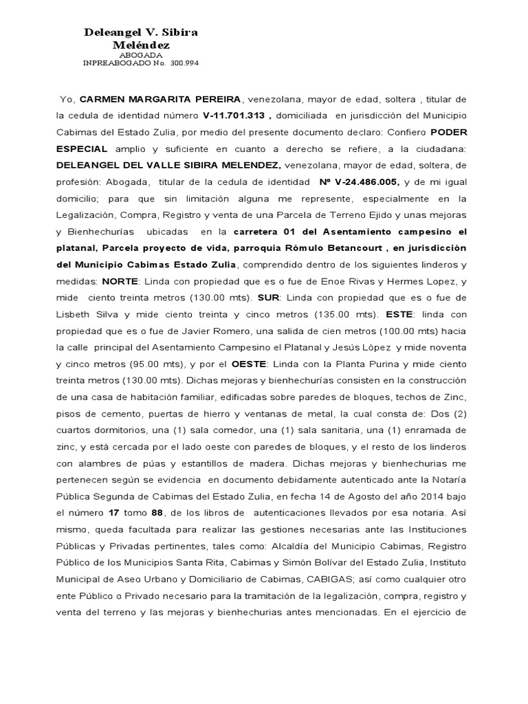 Poder Especial para Venta de Inmueble | PDF