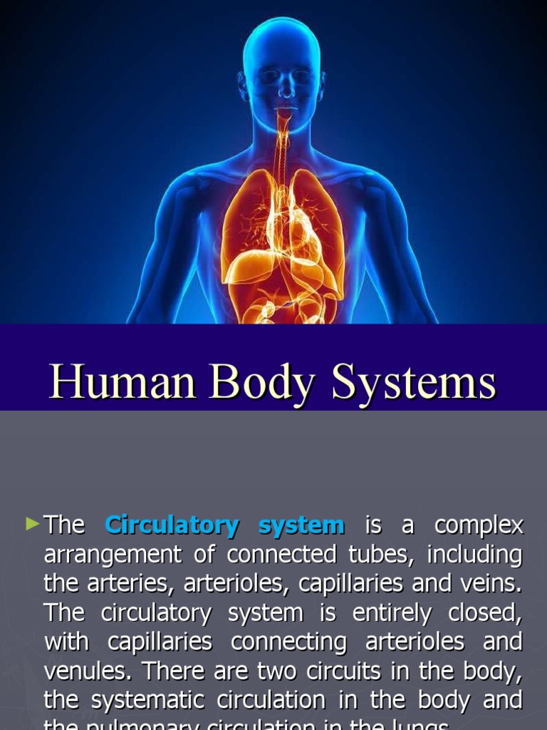 Human Body Systems | PDF