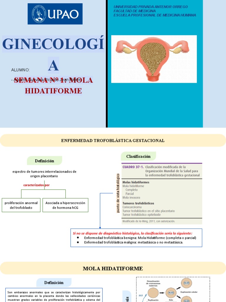 Mola Hidatiforme | Descargar gratis PDF | El embarazo | Reproducción humana