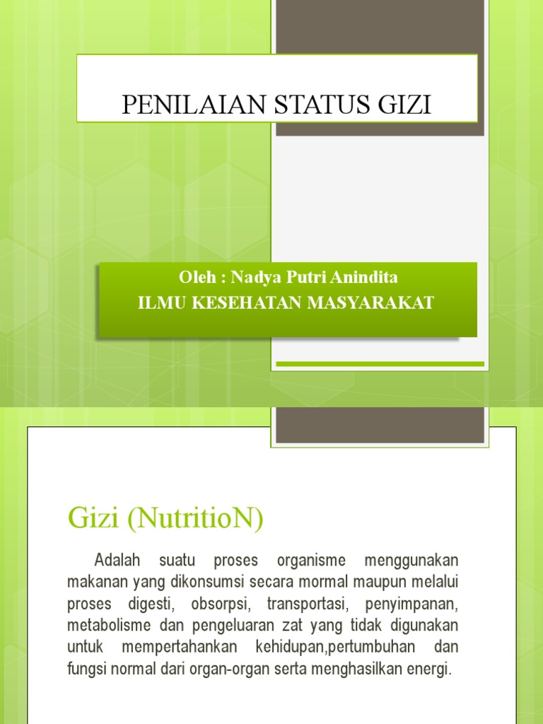 Status Gizi | PDF