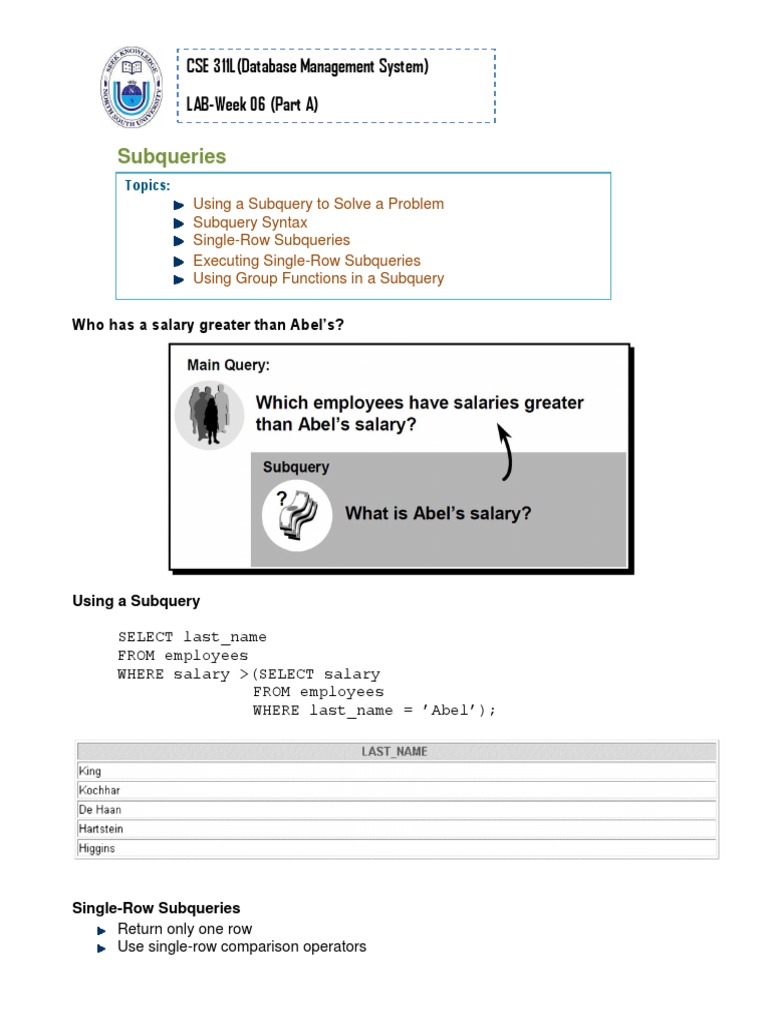 Lab Week 6 311l Pdf Databases Data Management