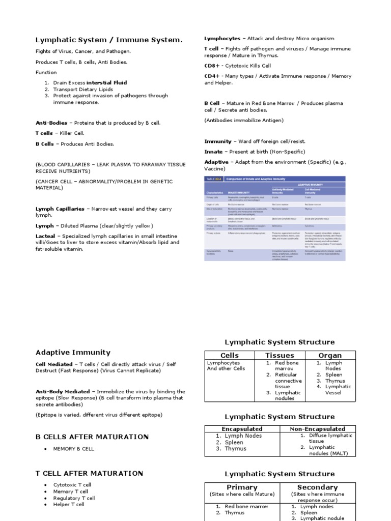 Lymphatic System Reviewer | PDF
