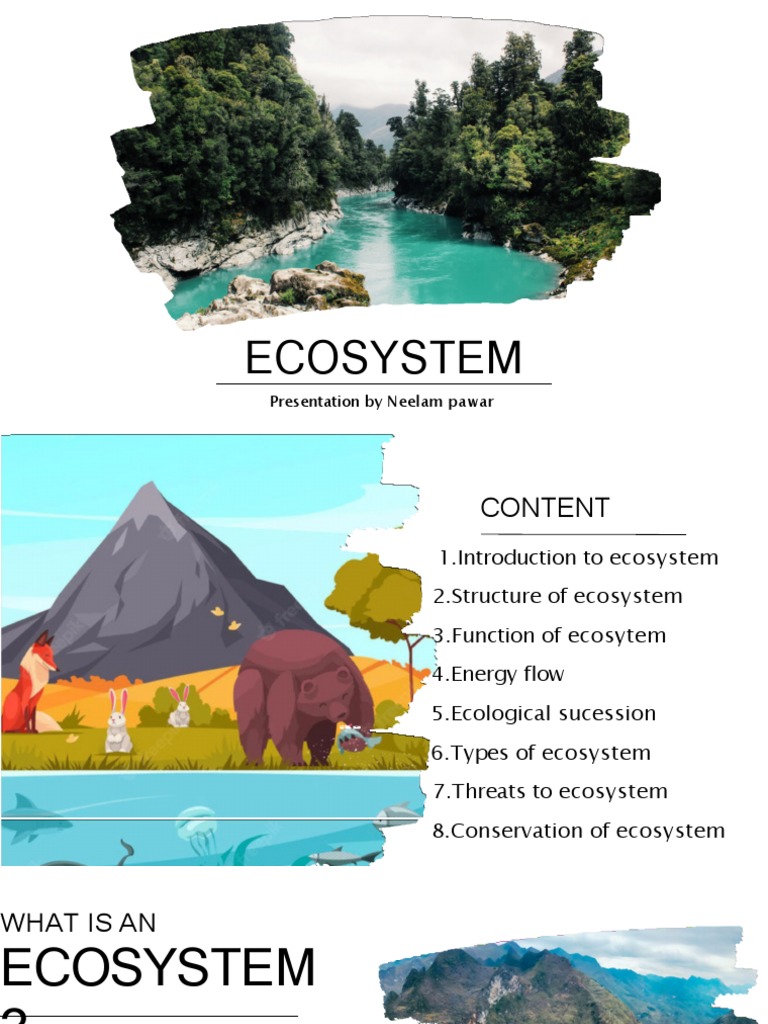 Ecosystem: Presentation by Neelam Pawar | PDF | Ecosystem | Grassland