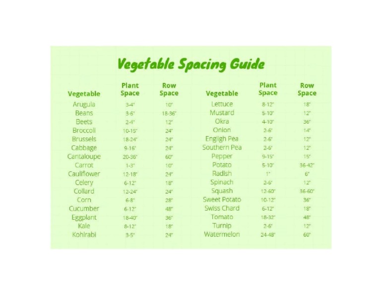 Vegetable Spacing Guide | PDF