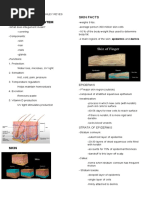 Albinism Clinical Case | PDF | Skin | Epidermis