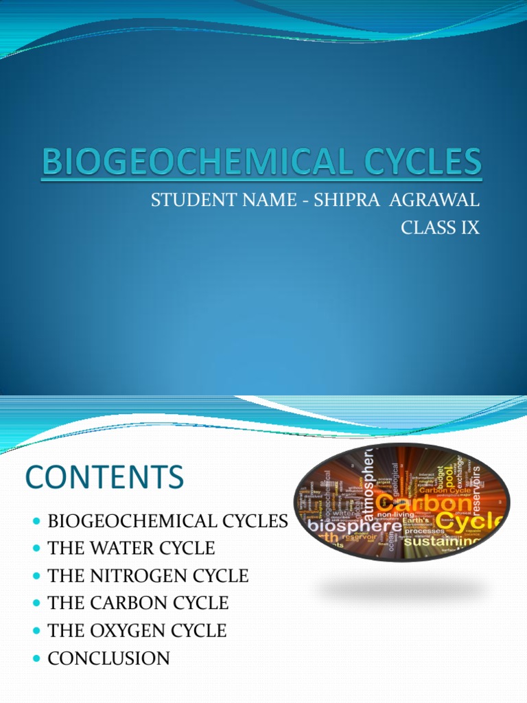 Overview of Biogeochemical Cycles | PDF | Science & Mathematics