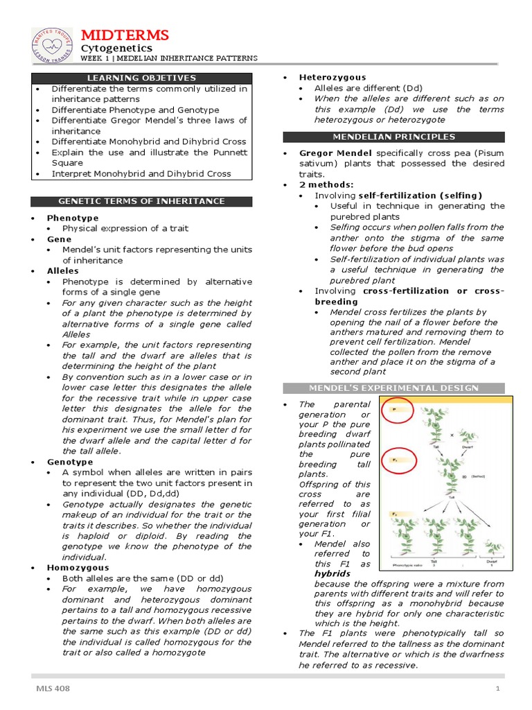 Cyto Midterms | PDF | Dominance (Genetics) | Zygosity