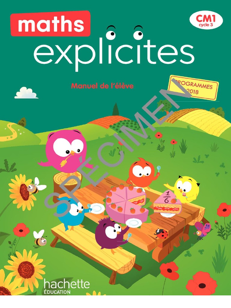 Livre Maths Cm1 Hachette | PDF