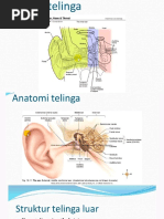 Struktur dan Anatomi Telinga Manusia | PDF