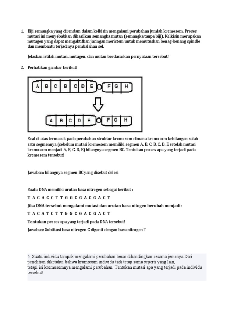 Soal Mutasi | PDF | Metode & Bahan Ajar | Kesehatan Holistik