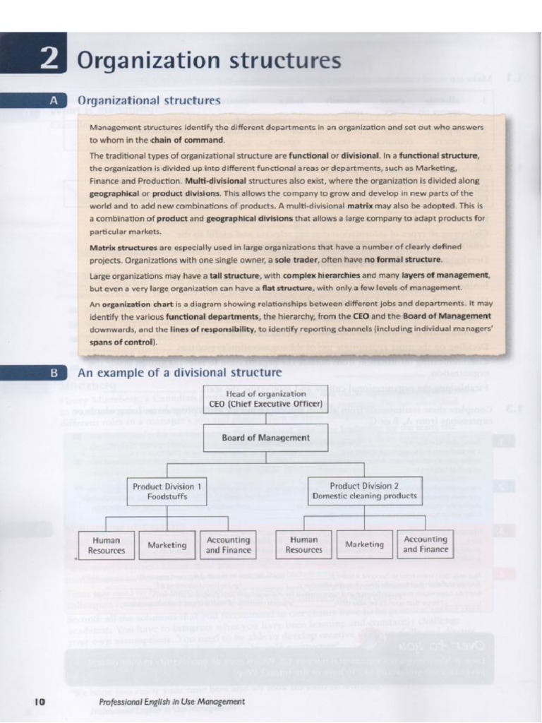Organization Structure | PDF
