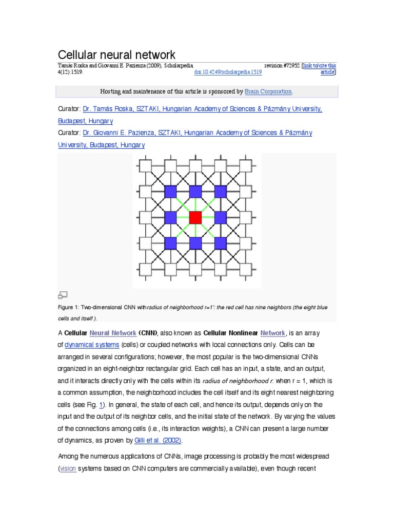 Cellular Neural Network | PDF | Applied Mathematics | Systems Science